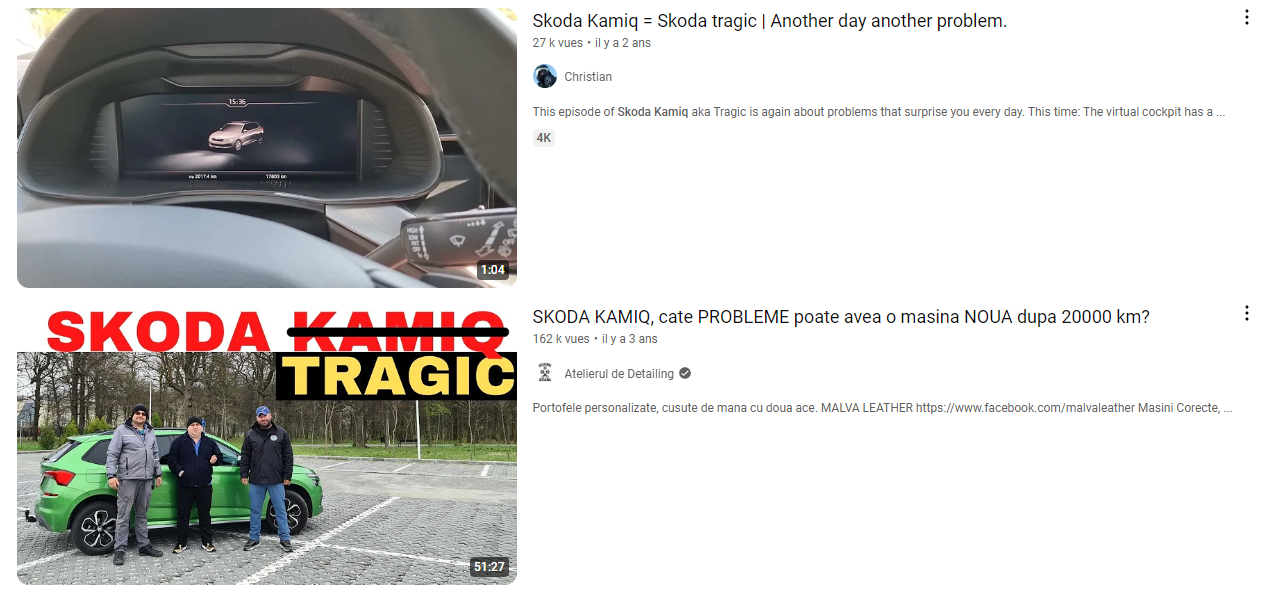 Skoda Kamiq Probleme